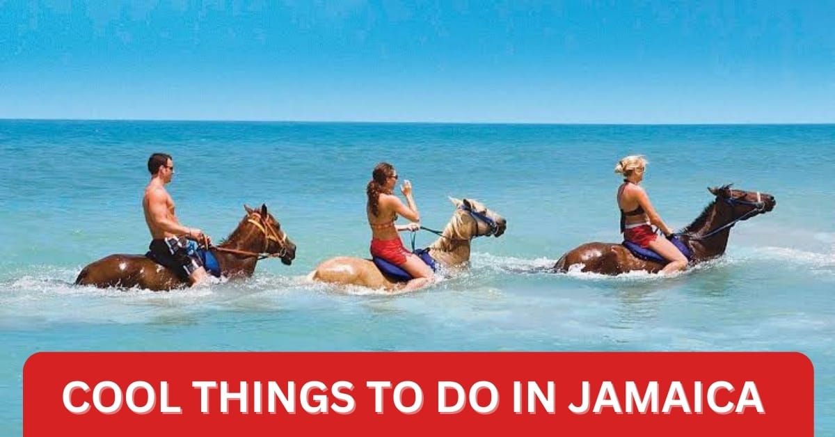 Unique Things to do in Jamaica - Aldae Tours